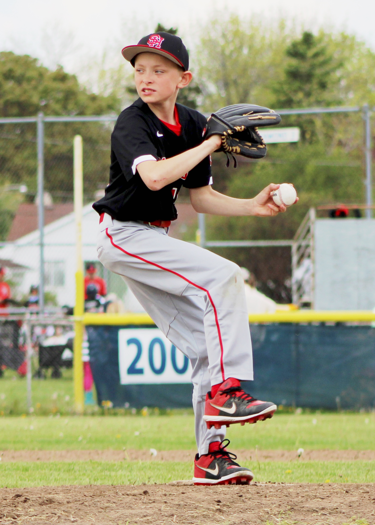Shorewood Hounds Baseball