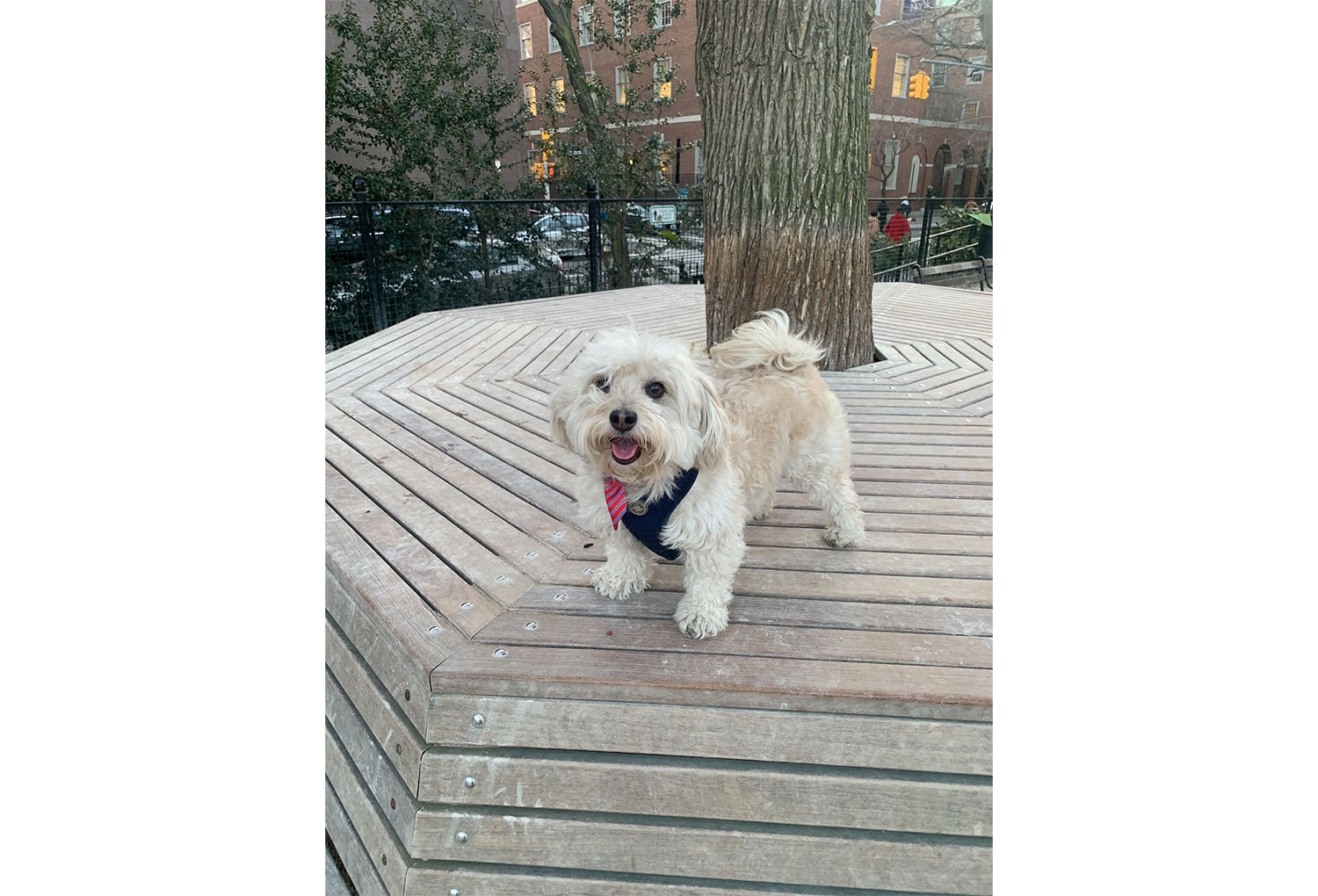 Welcome Julissa Ayala, our UX Designer