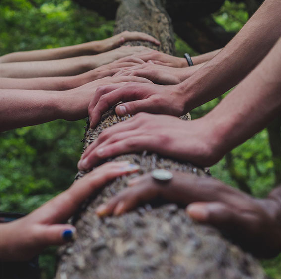 Participate | How to Citizen