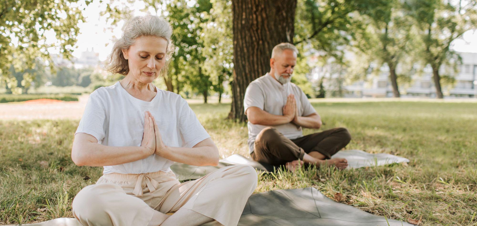 A Brief History of Mindfulness - Calm Kids Blogs