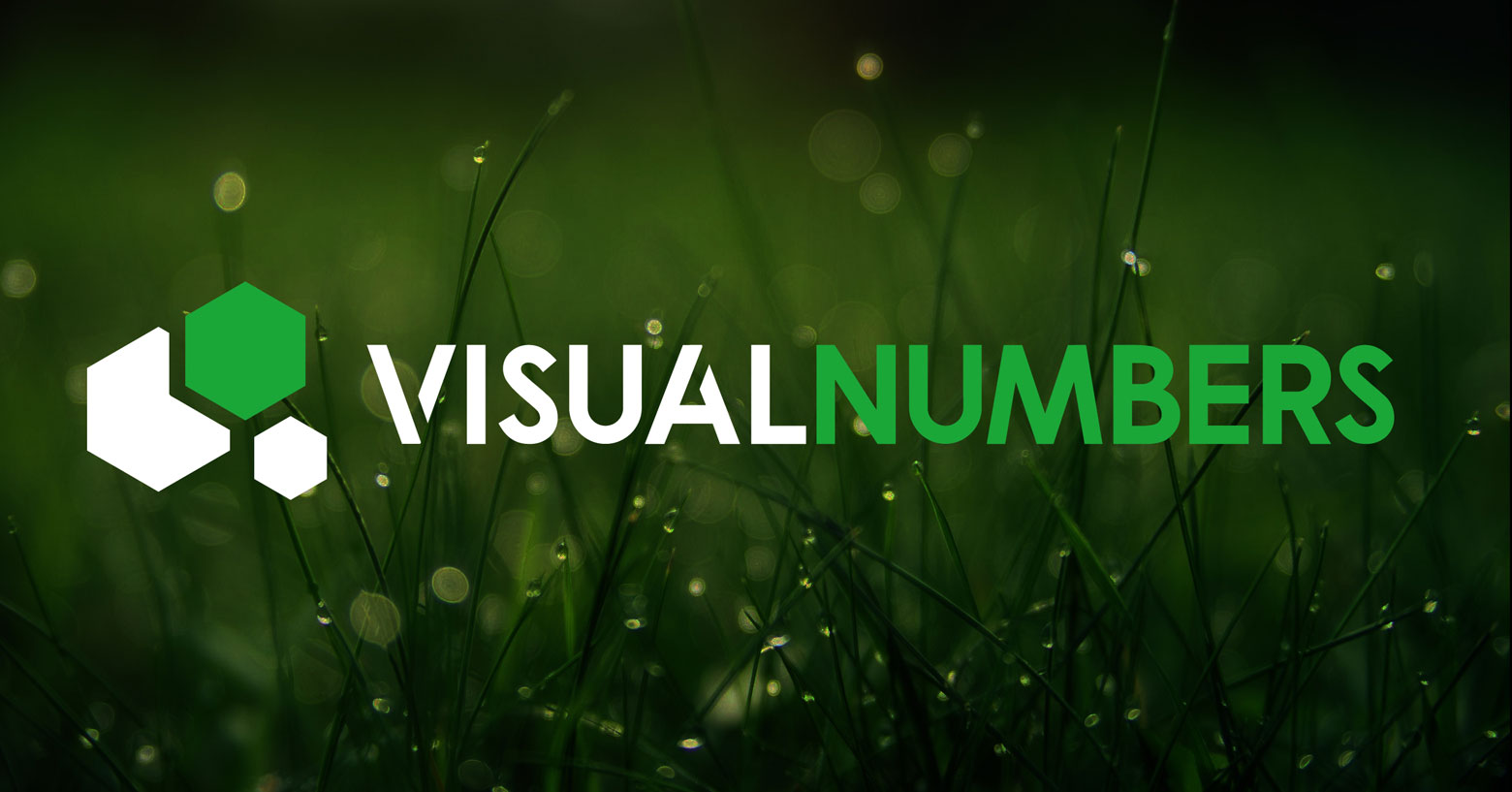 VisualNumbers macht die Budgetierung einfach und effizient