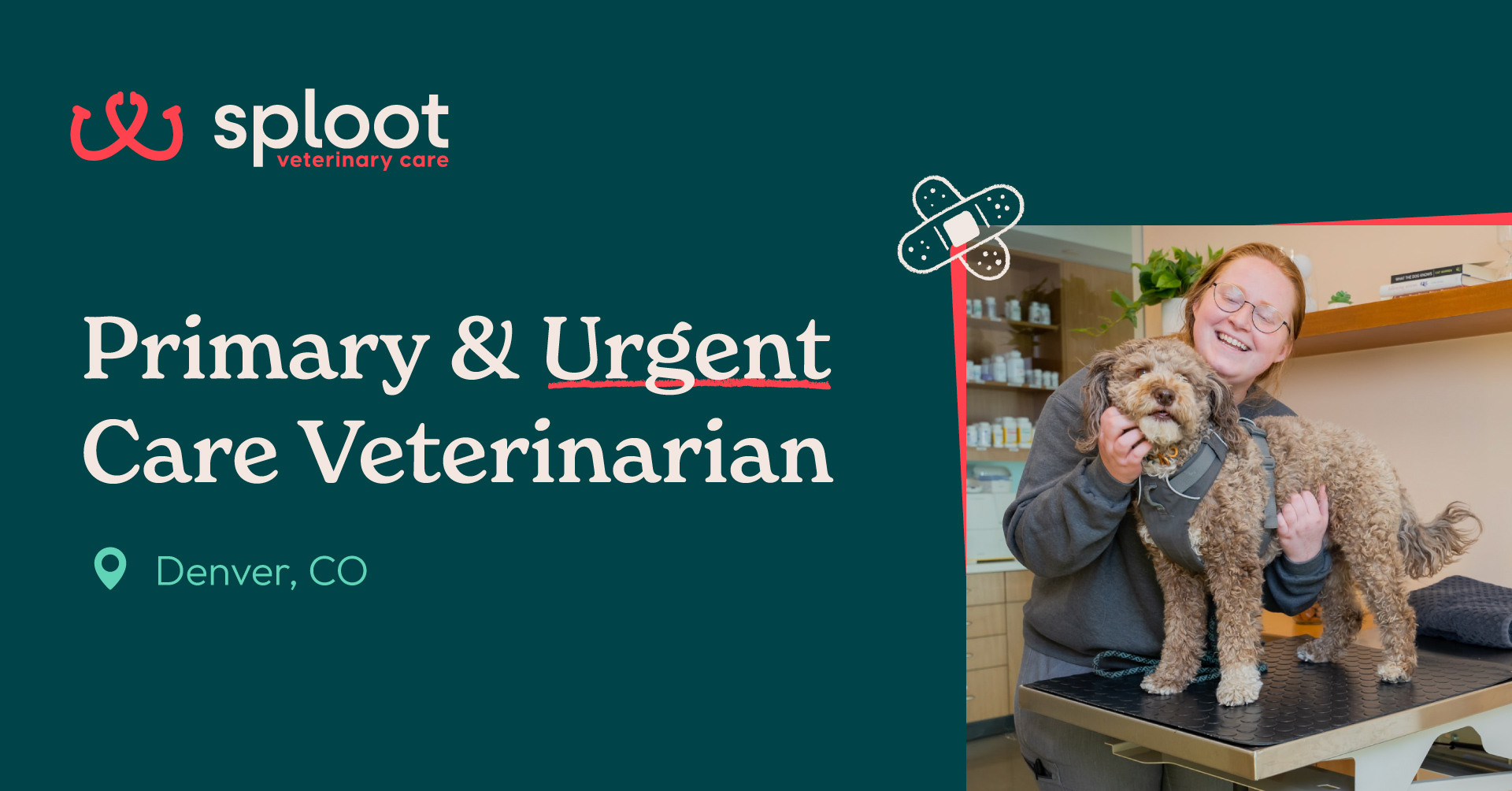 Sploot Veterinary Care - Primary & Urgent Vet Care