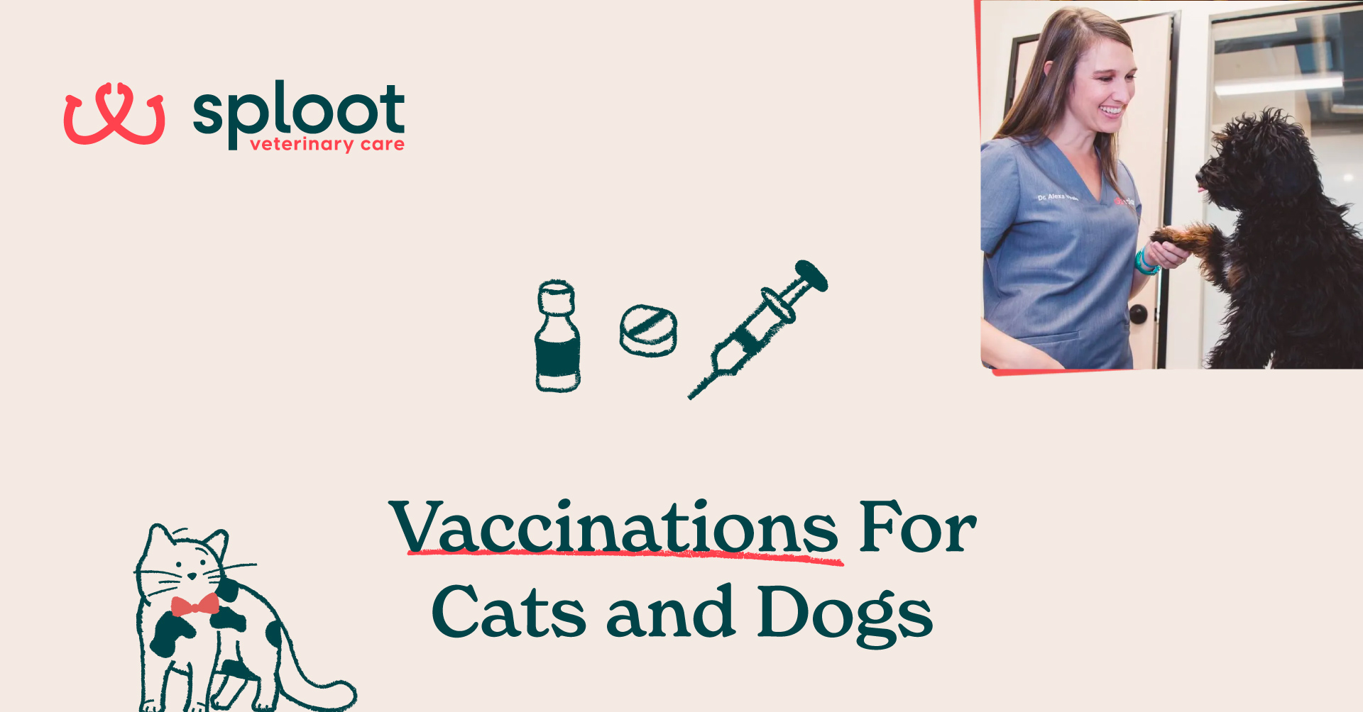 Vaccinations For Cats and Dogs in Denver, CO and Chicago, IL