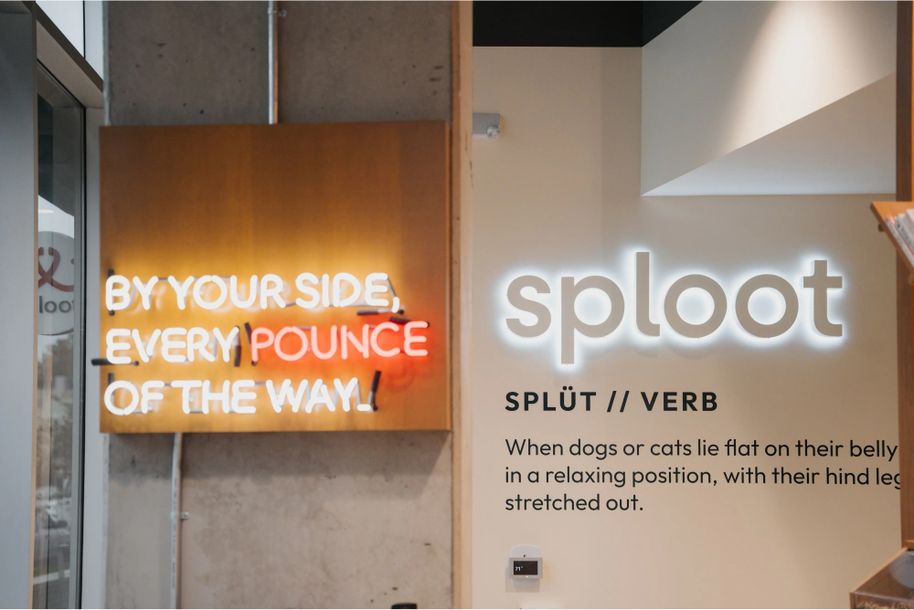 9+CO, Denver Veterinary Care - Sploot