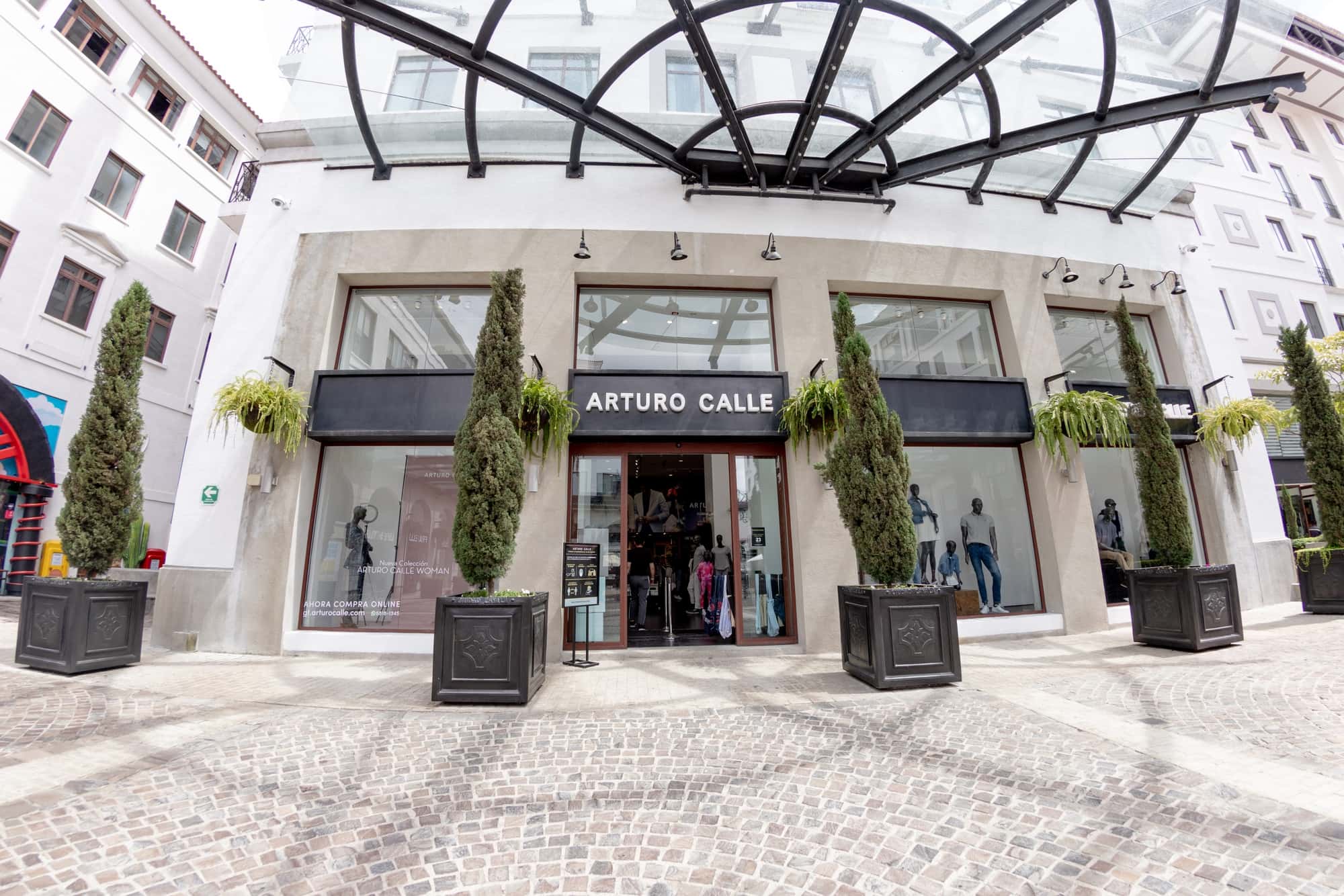 CAYALÁ | Directorio