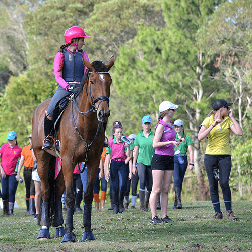 About Us | Heritage Riding