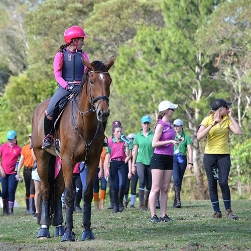 About Us | Heritage Riding