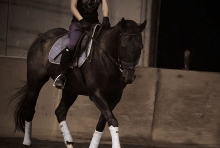 About Us | Heritage Riding