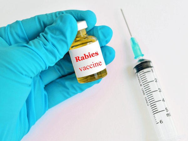 Dog Vaccines: Types, Schedules, & More [Vet-Approved Guide]