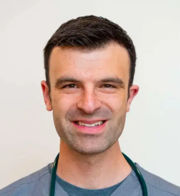 Denver Veterinary - Sploot Veterinary Care