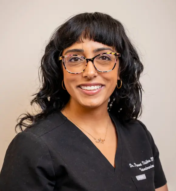 Highlands Ranch, Denver Veterinary Care - Sploot