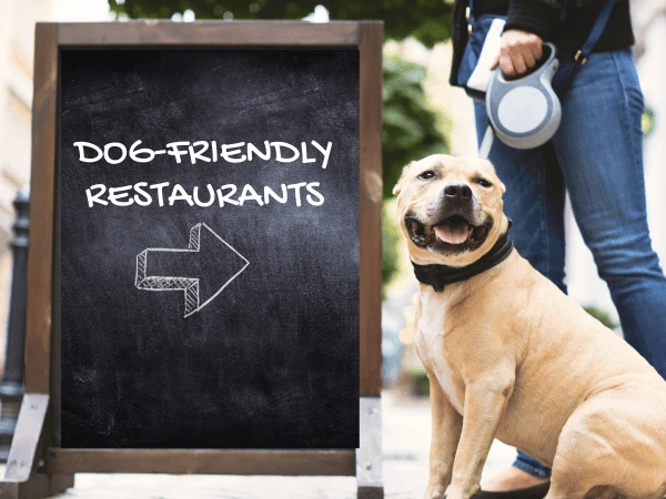 5 Best Dog Friendly Restaurants Near Highlands Ranch