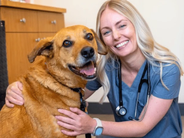How to Make Vet Visits Fun & Calm for Your Pet [Vet Approved]