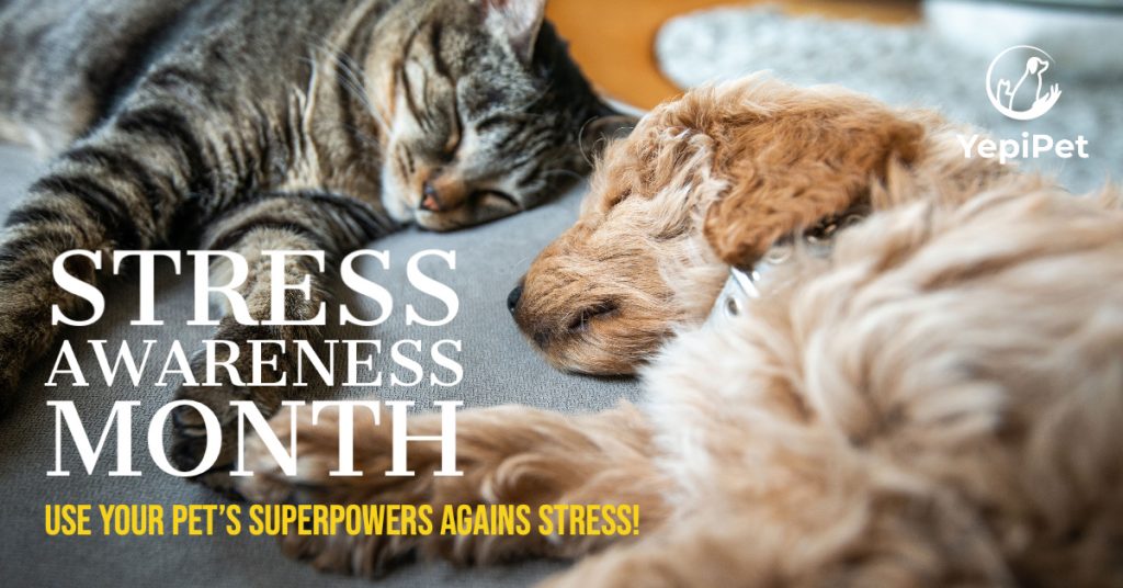 Stress Awareness Month: the stress reducing benefits of owning a pet ...