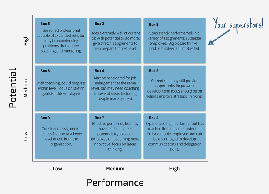 9 Box Grid Benefits Examples The Ultimate Action Plan Scribe