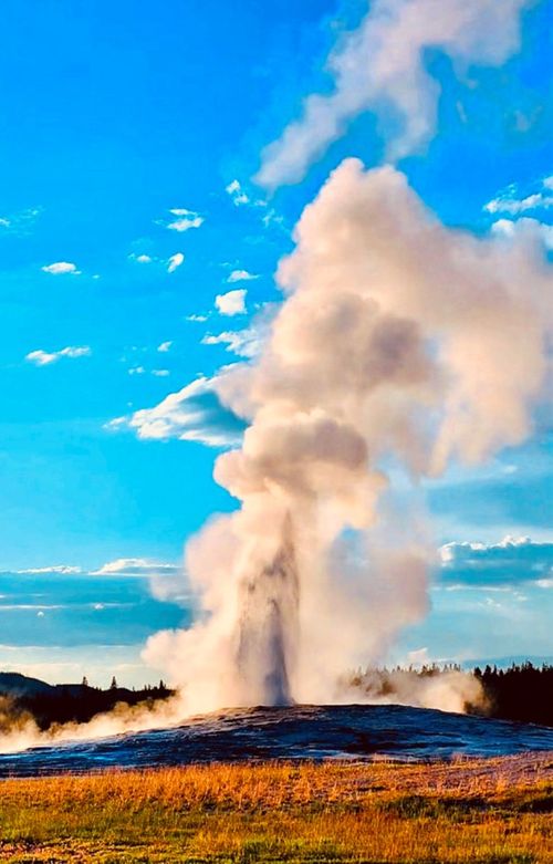 Old Faithful | Armstrong McGuire