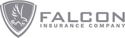 OCHO Insurance - A Fair Start
