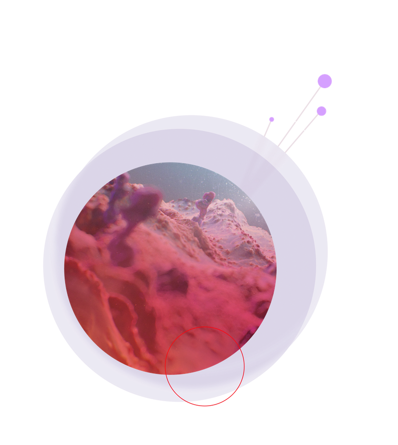 Home | Inozyme Pharma