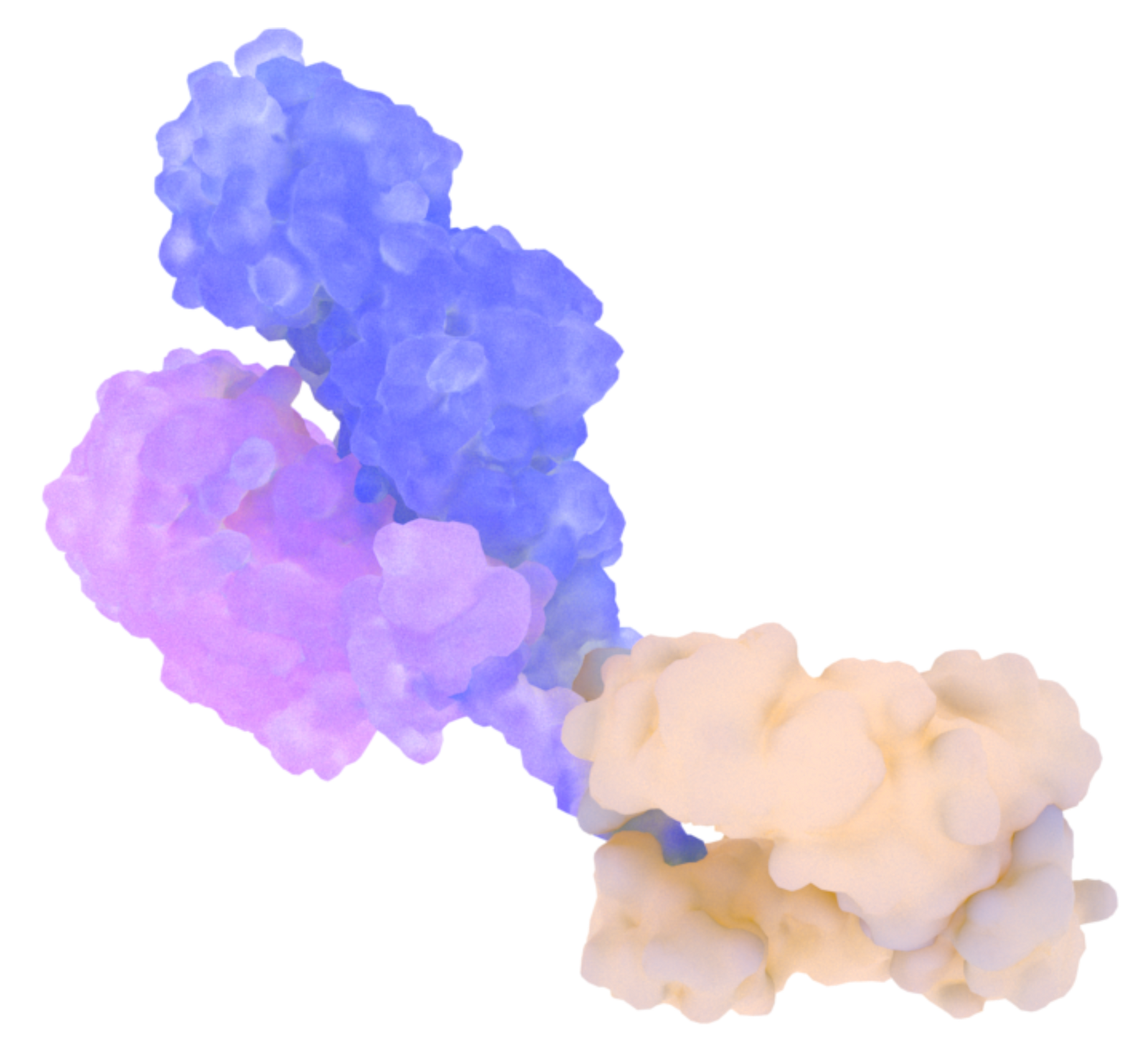 Home | Inozyme Pharma