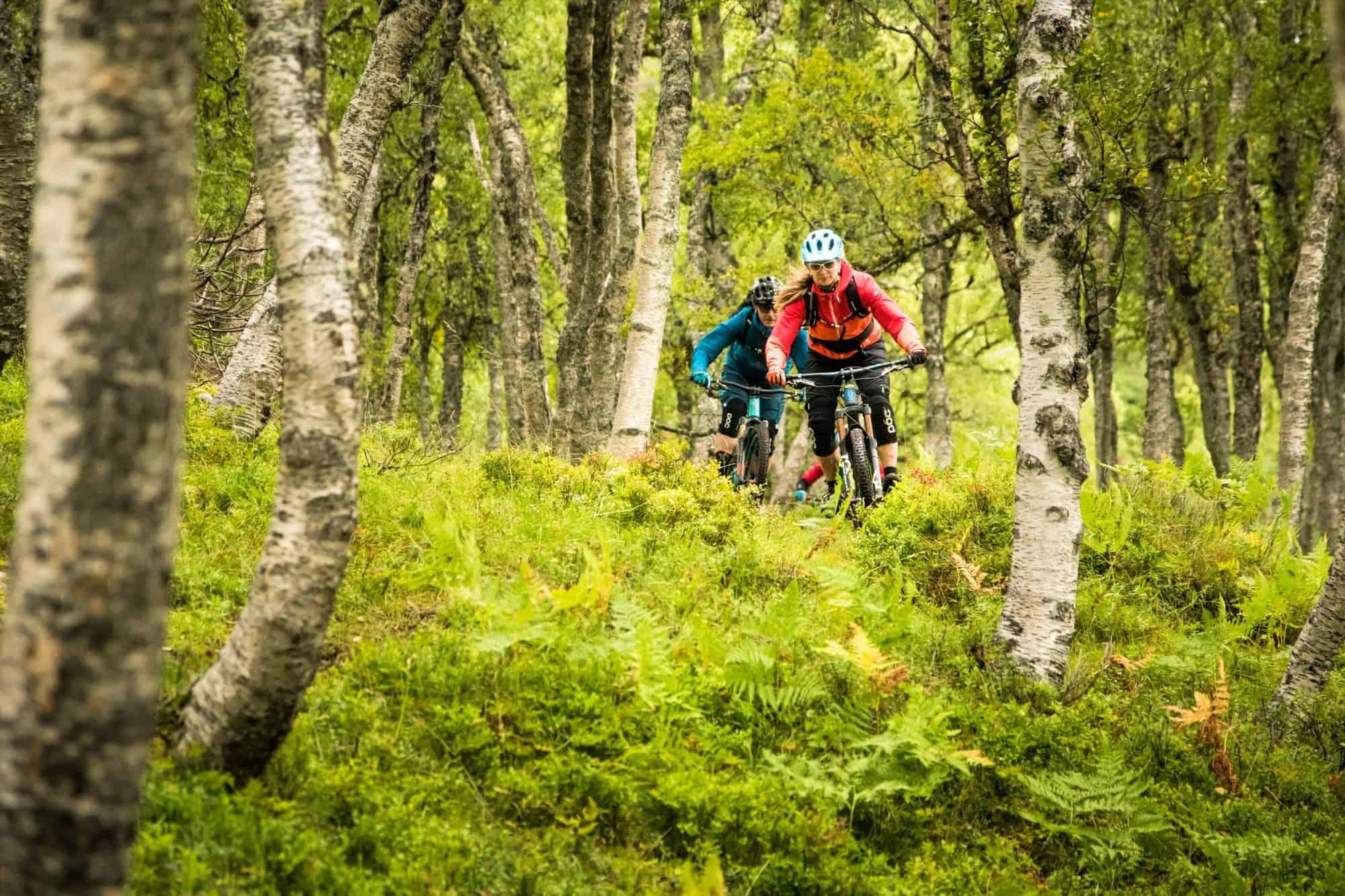 Adventure | Slow Adventure