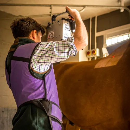 Sports Horse Services