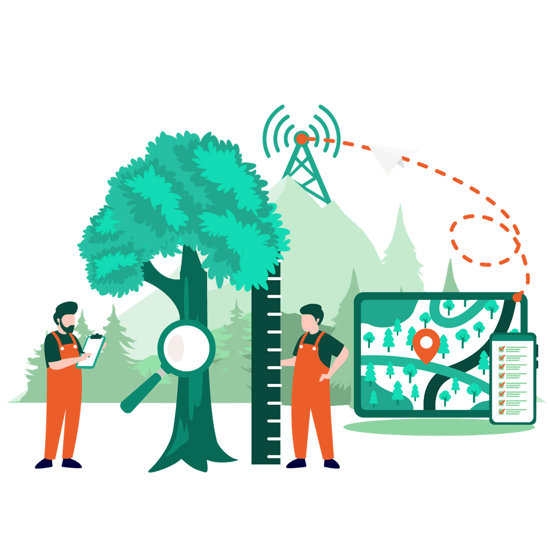 Prism | Timber Cruising Software | Lim Geomatics