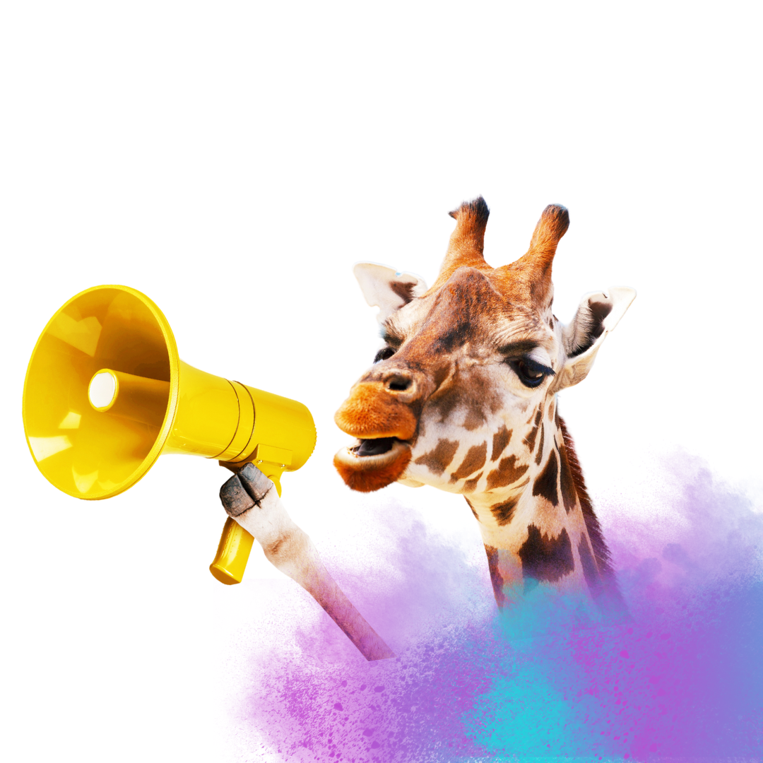 Hotel Zazz | Nob Hill Albuquerque, New Mexico