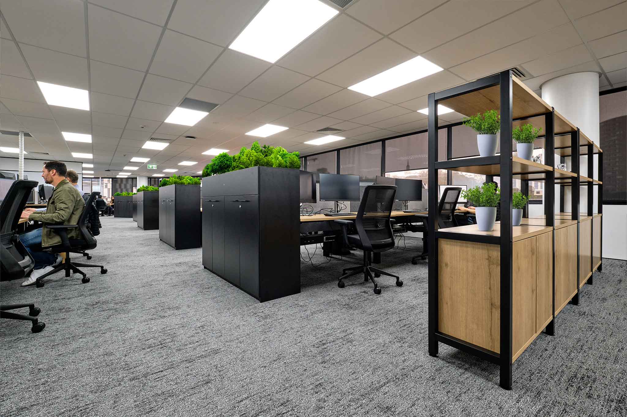 Dicker Data | Studio DB