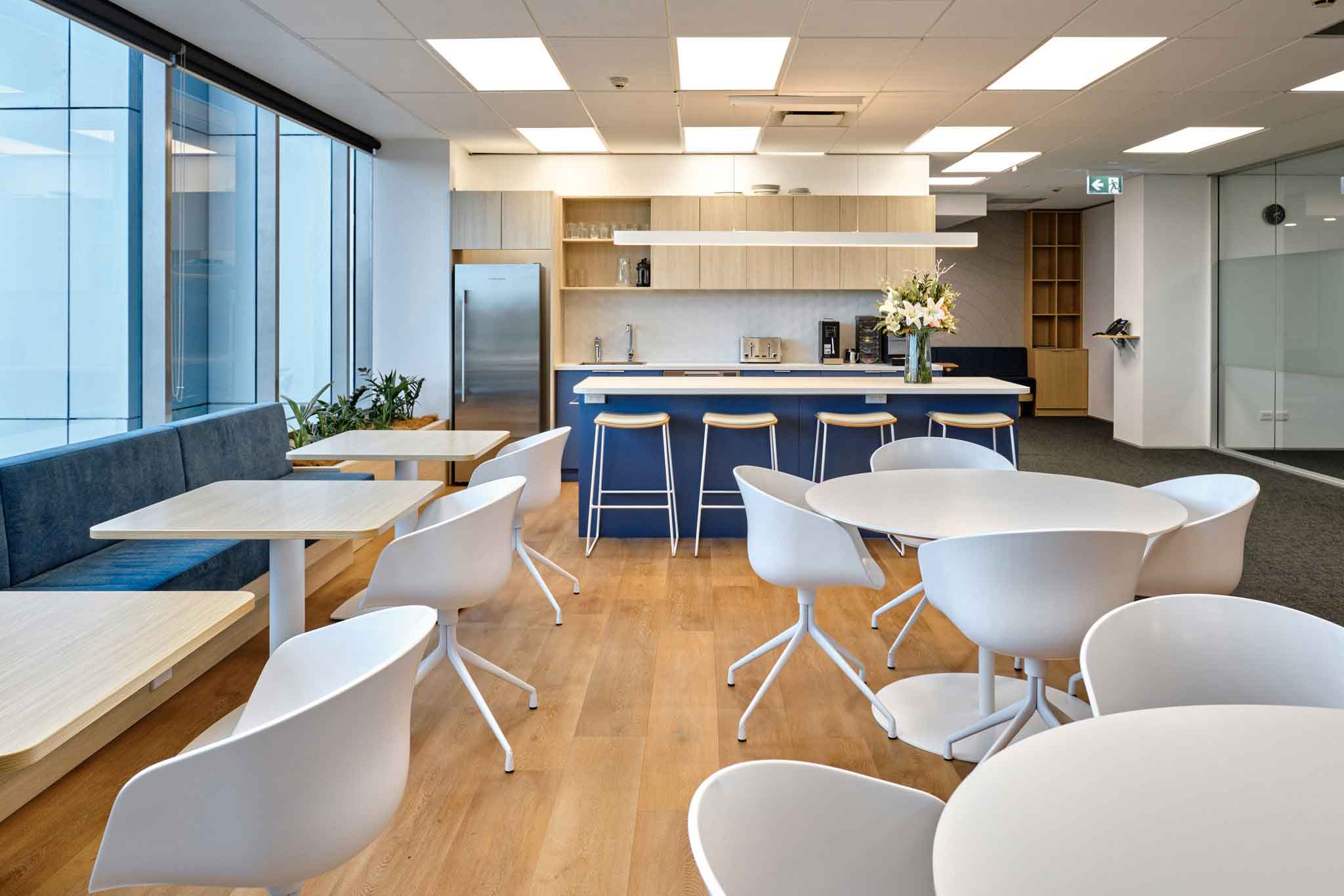 Springer | Studio DB