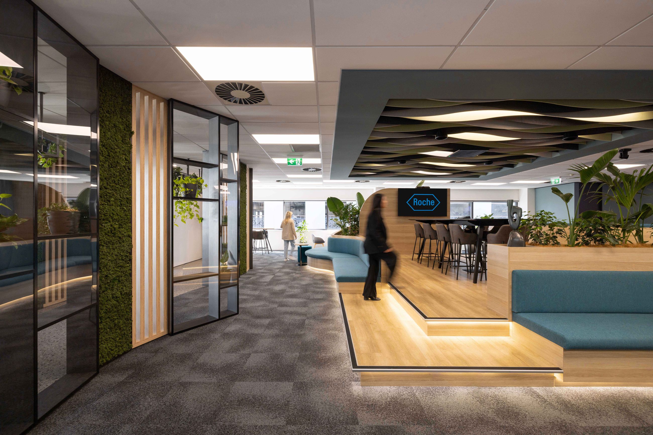 Office Fit Out | Commercial Fit Out | Interior Design NZ | Studio DB