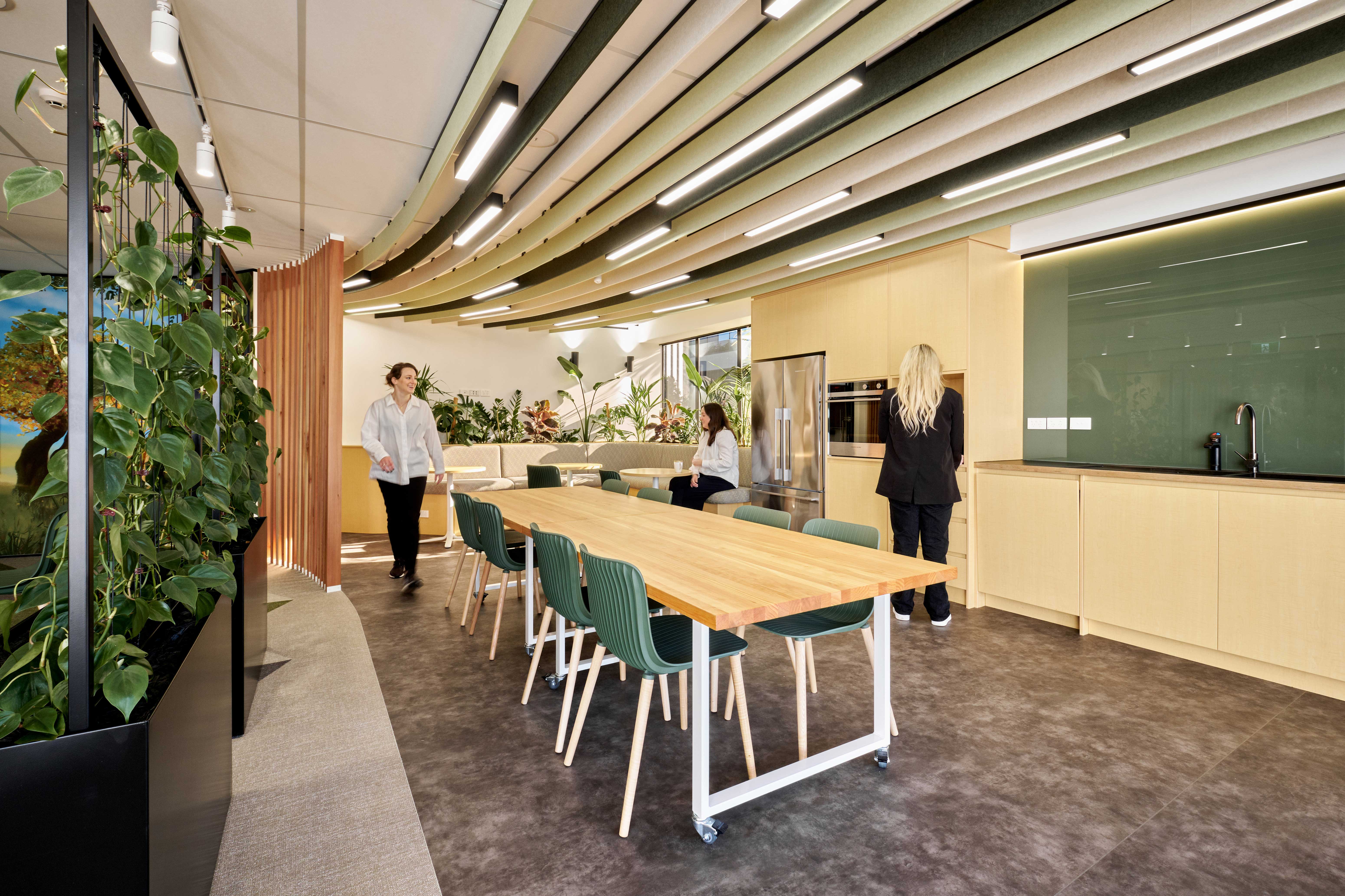 Starship Foundation | Studio DB