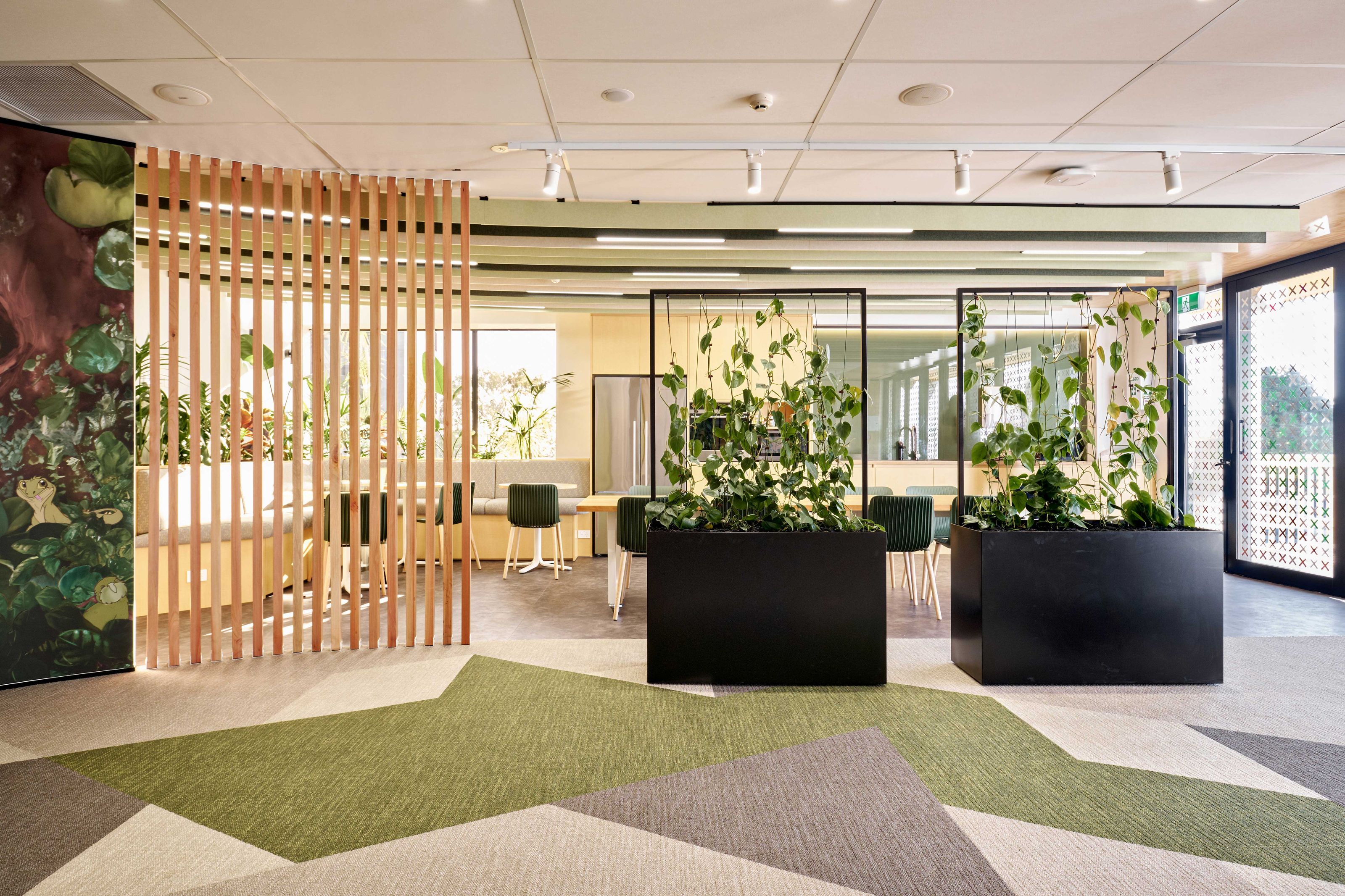 Starship Foundation | Studio DB