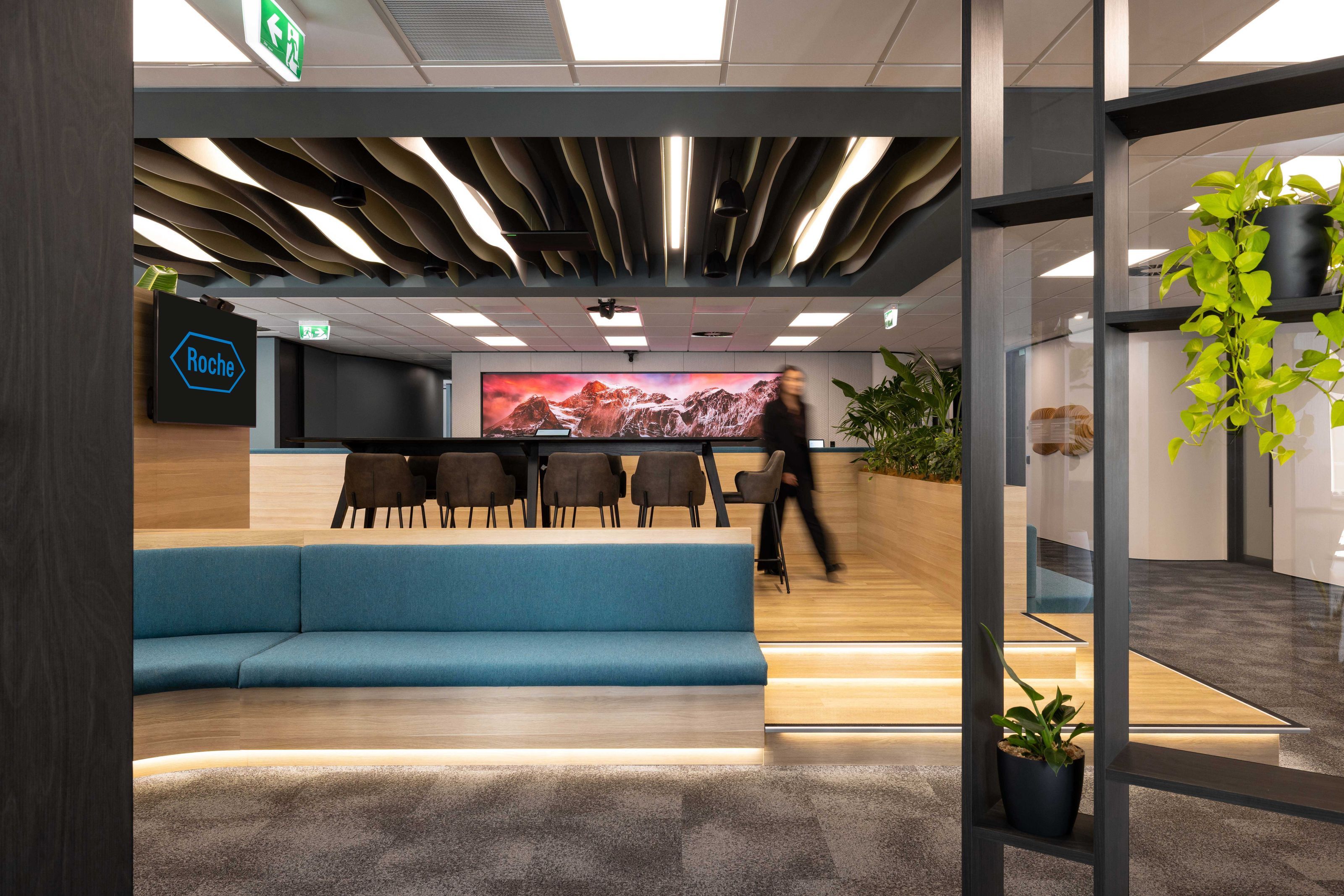 Studio DB's Workspace Revolution: Wellness, Sustainability, and Future Productivity