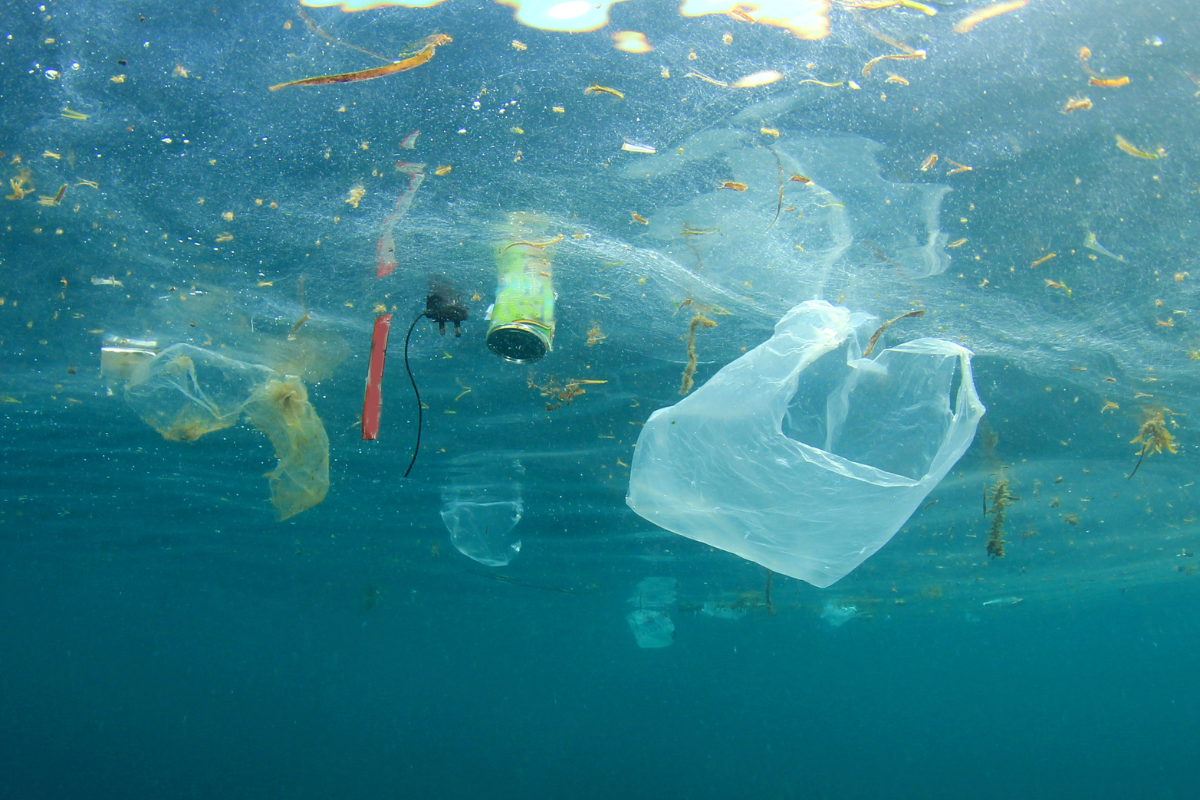 8 Ways to Reduce Plastic Waste in Our Oceans - WasteXperts