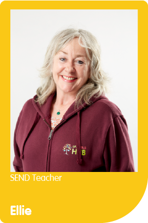 Specialist SEND Tuition