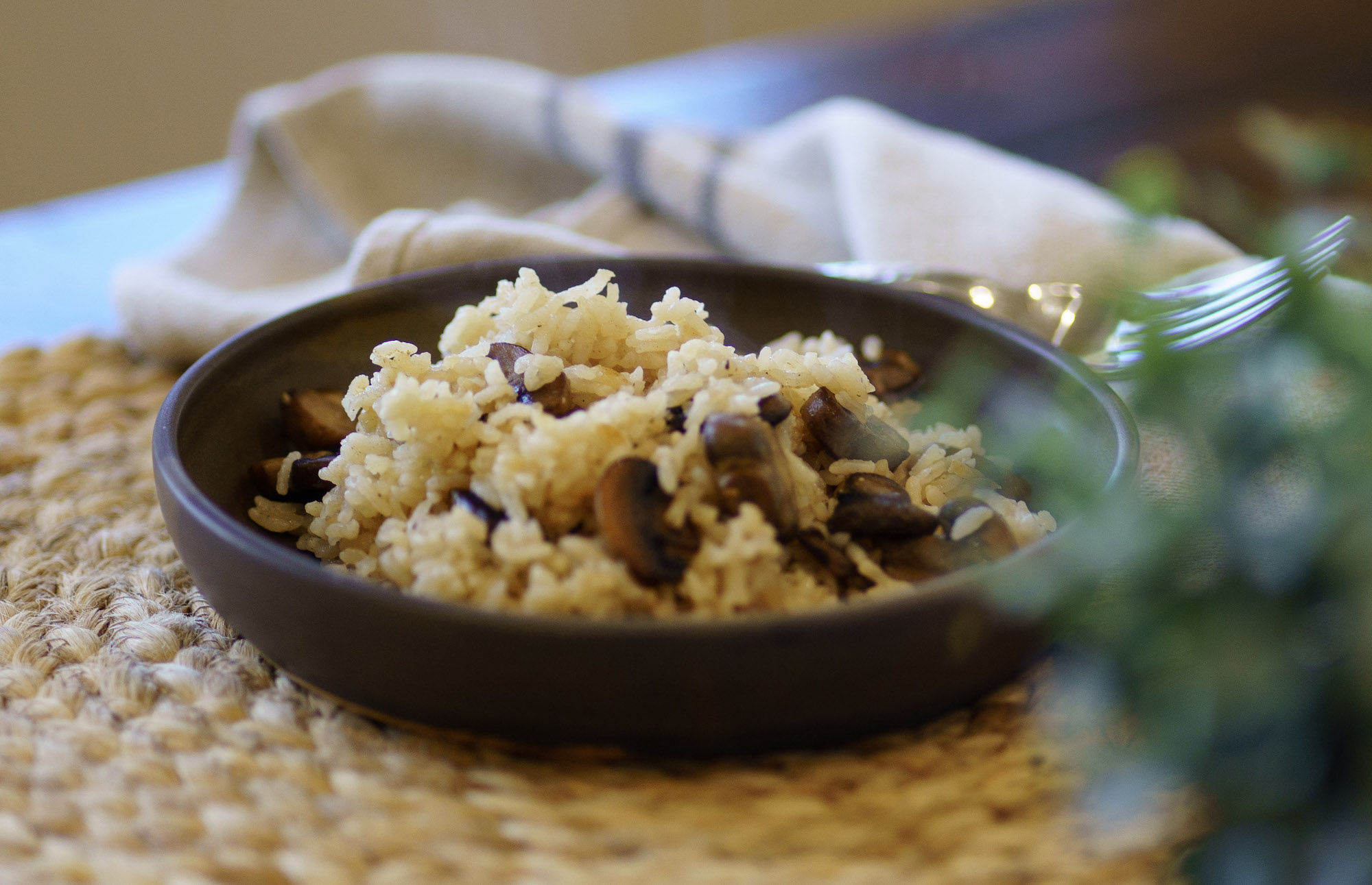 True Origin Foods - Growing Delicious