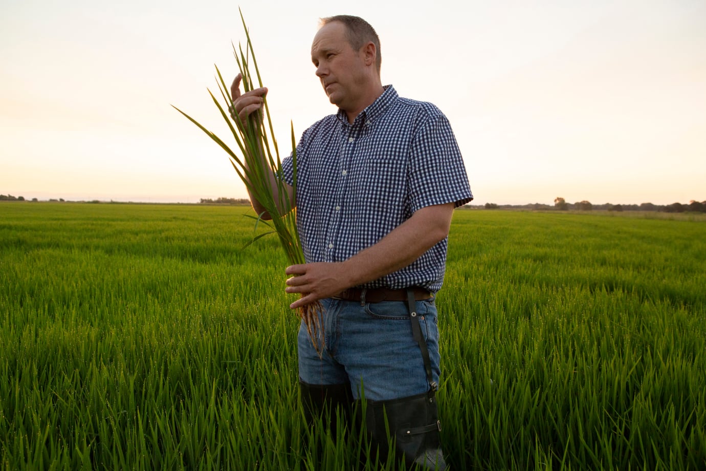 True Origin Foods - Growing Delicious