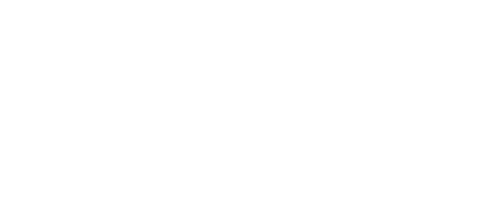 PLUSnxt | Personalizing your eDiscovery Solutions