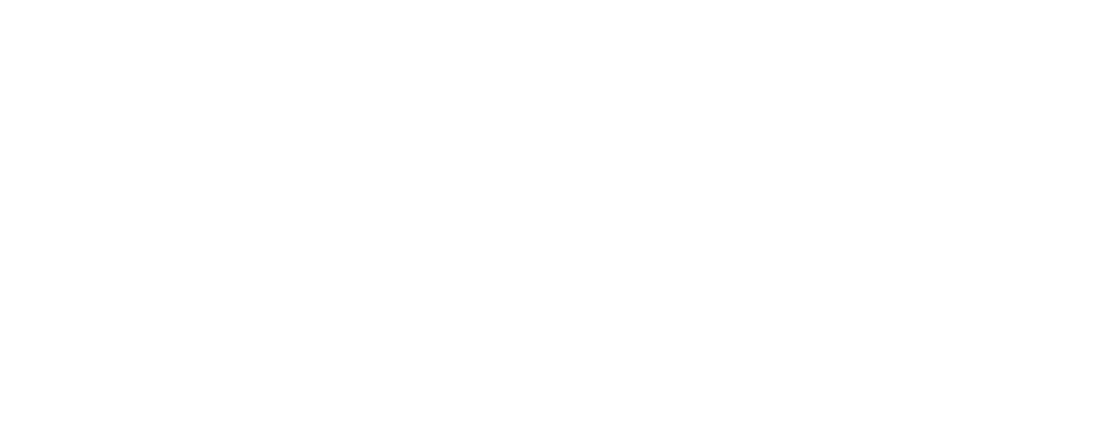 PLUSnxt | Personalizing your eDiscovery Solutions