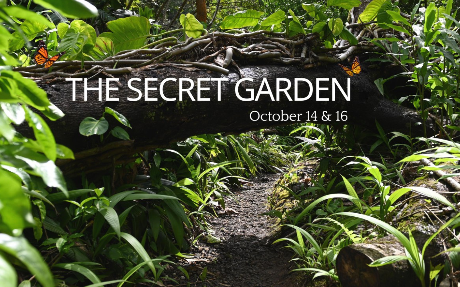 Nolan Gasser's THE SECRET GARDEN at Hawaii Opera Theatre