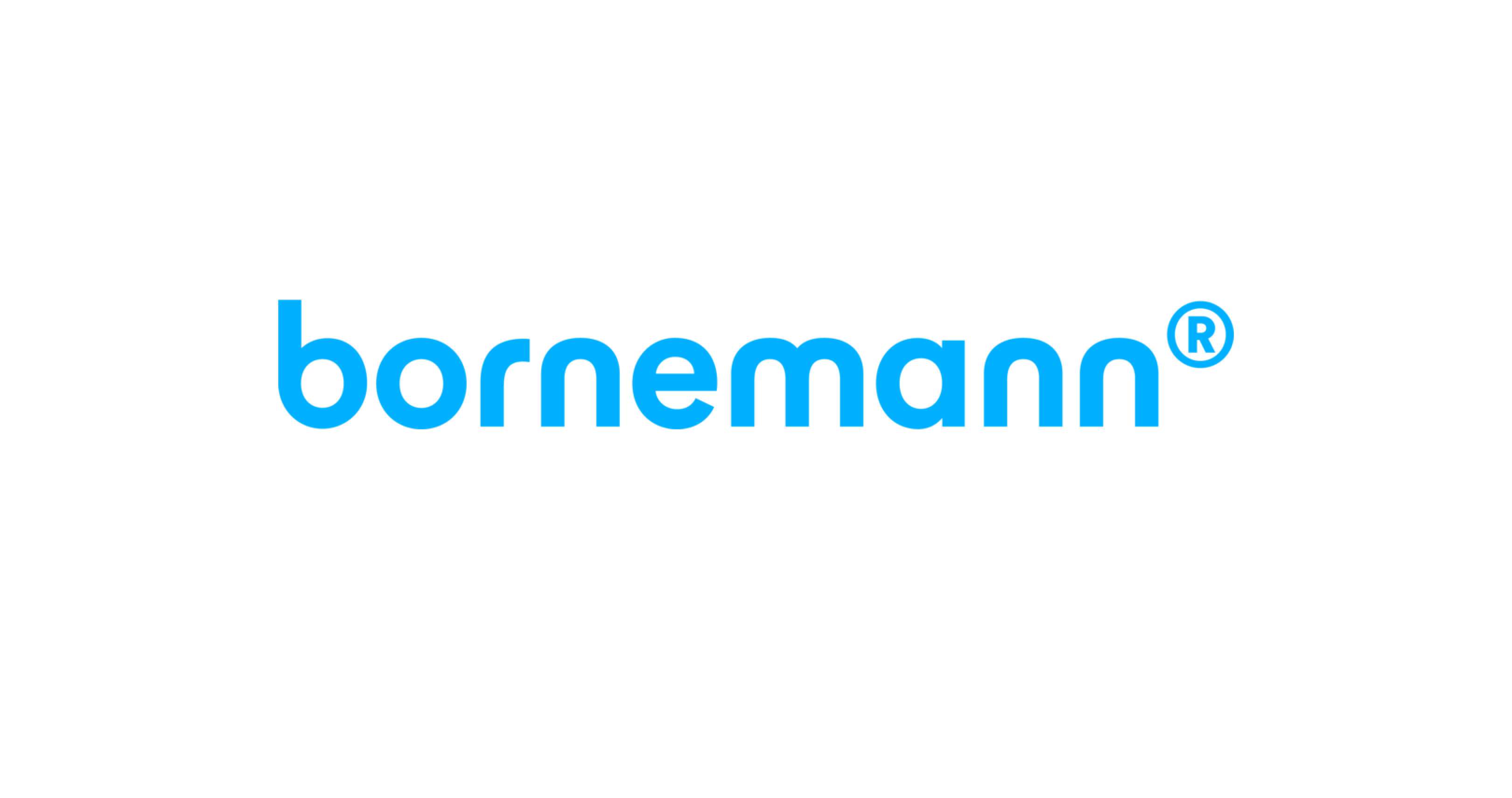 Bornemann Introduces a New Fleet Logbook Solution Featuring In-Vehicle ...