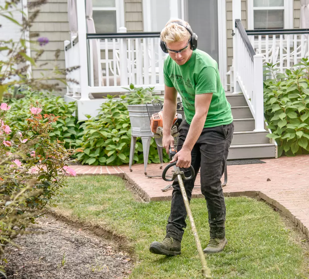 Email Marketing & Newsletter Software for Landscaping Businesses