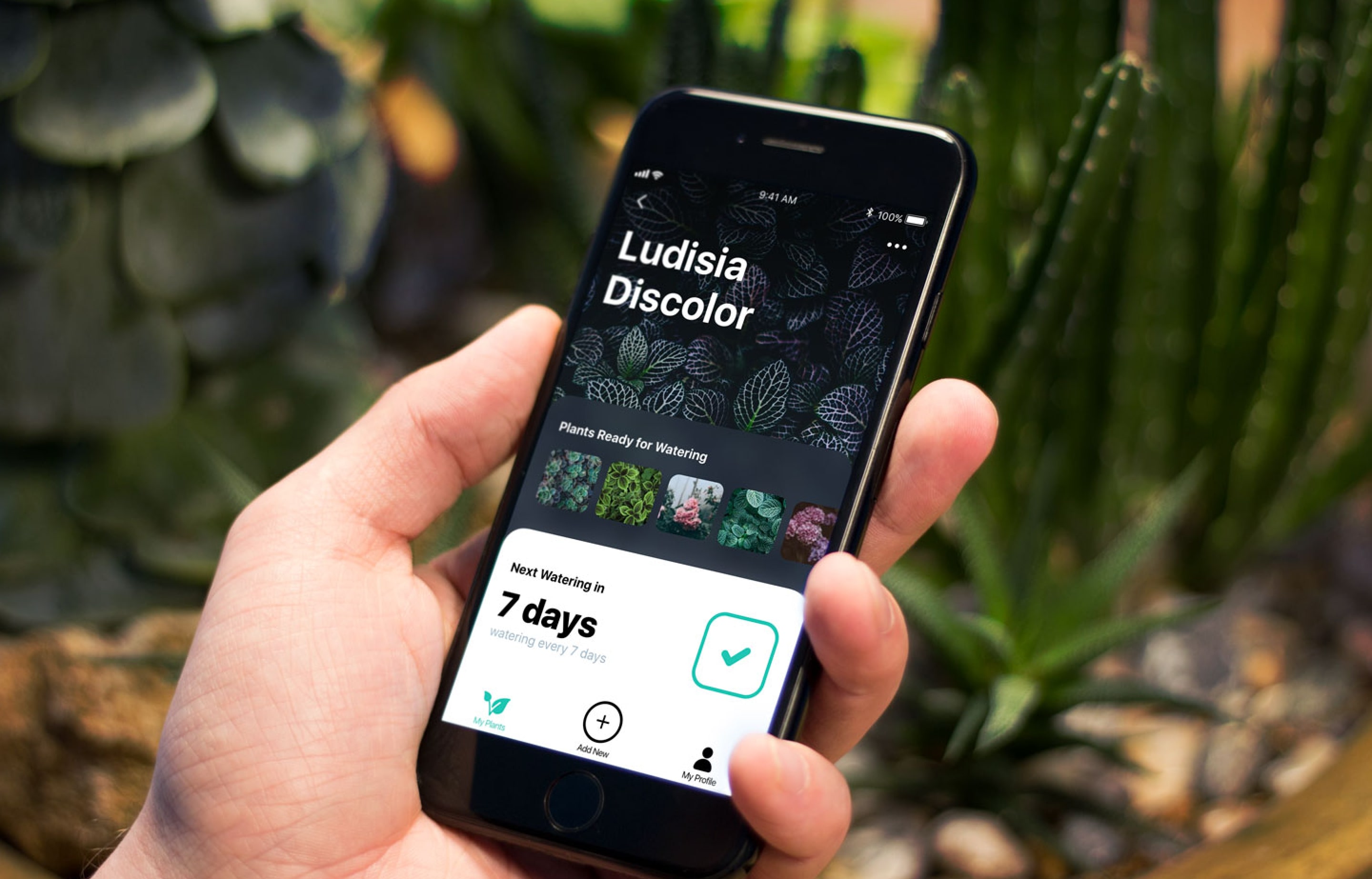 tubik, digital agency creating mobile and web products