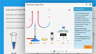 Teaching STEM with combined LabSims and Smart Worksheets