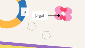 LearnSci LabSim: Blue-White Screening Theory