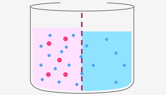LearnSci LabSim: Diffusion and Osmosis
