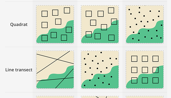 LearnSci LabSim: Fieldwork: Methods and Approaches