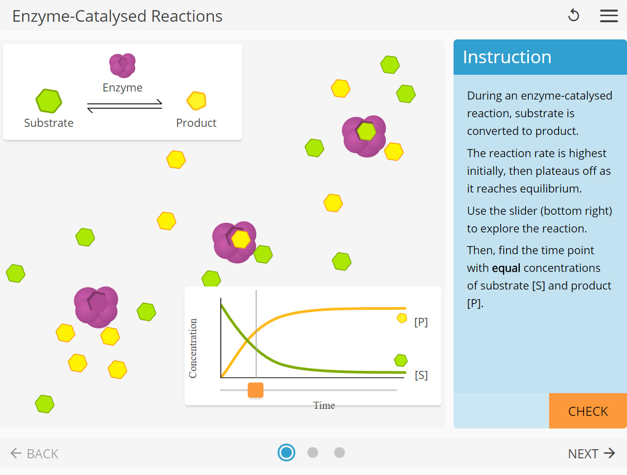 LearnSci LabSim: Enzyme-Catalysed Reactions
