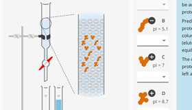 LearnSci LabSim: Ion Exchange Chromatography