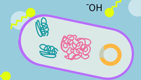 LearnSci LabSim: Miniprep 1: Isolate Plasmid DNA
